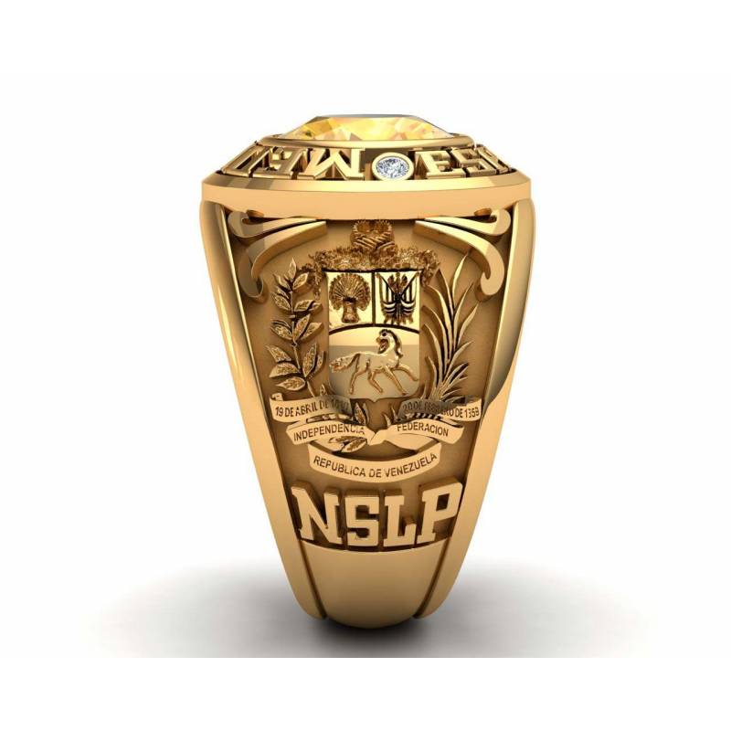 Medicine Solid 18k Gold Class Ring | Pepe Dry